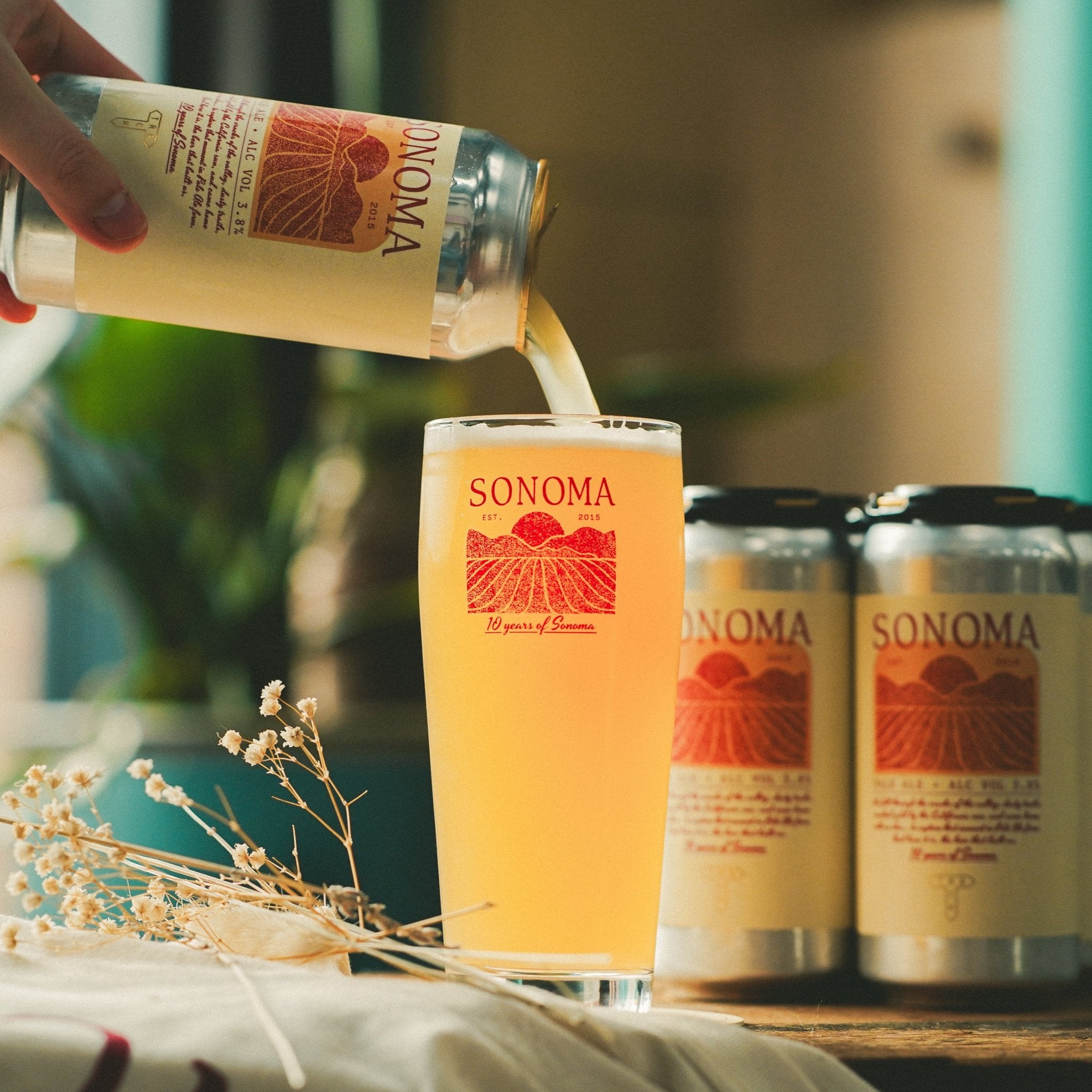 All Beer – Track Brewing Company Limited